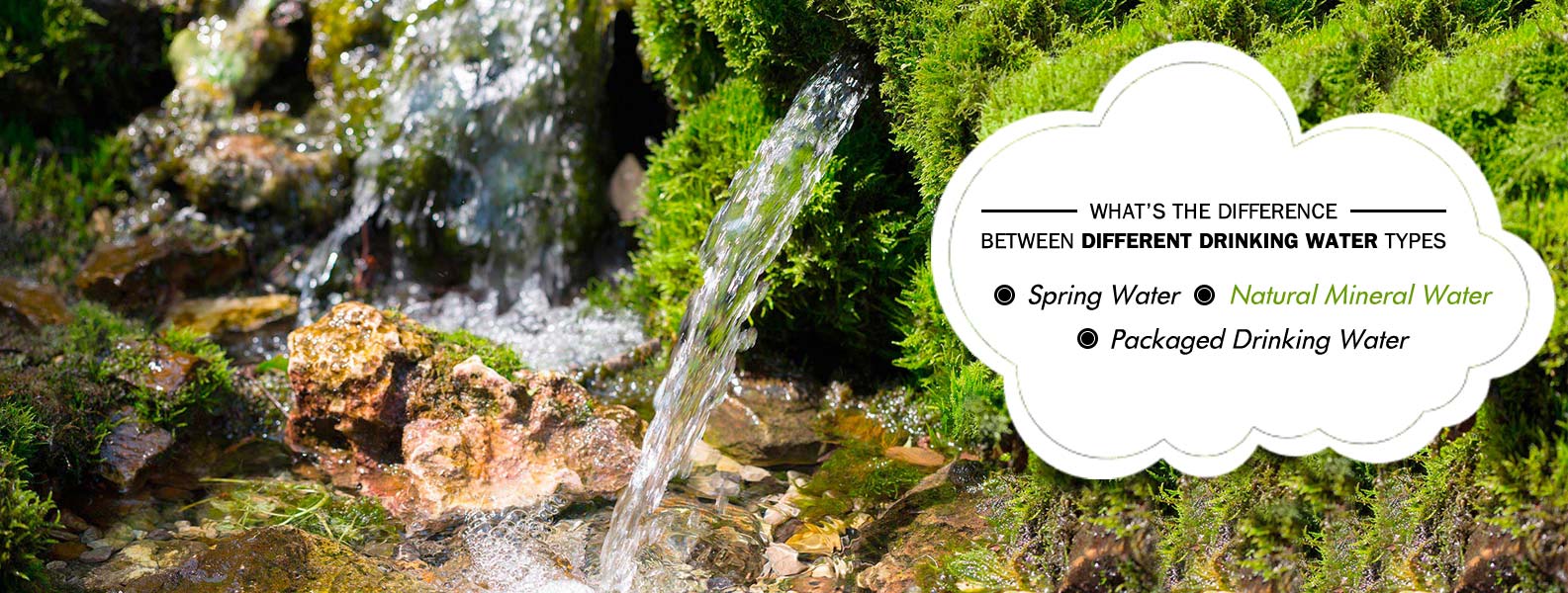 Difference Between Natural Mineral Water And Packaged Drinking Water at Alex Mckean blog